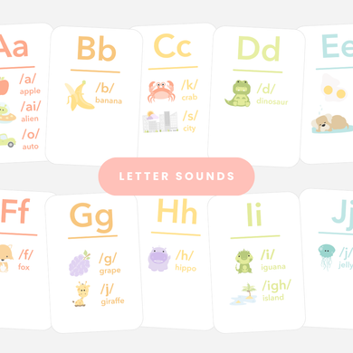 Flashcards – GoodnightFox